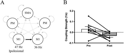 Reduced Interhemispheric Coupling Following The Intervention During Download Scientific Diagram