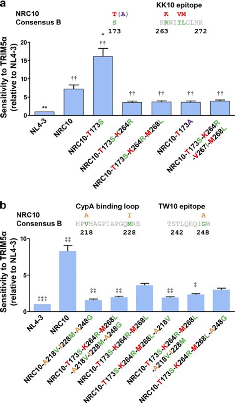 Mutations Associated With Escape From Ctl Increase Sensitivity Of