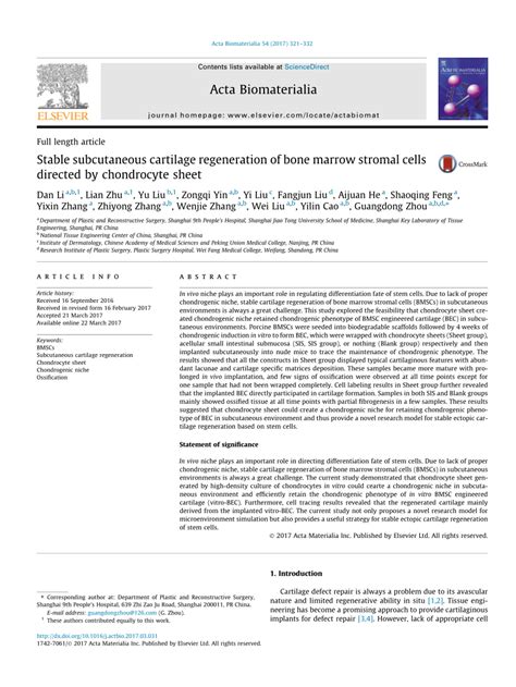 Pdf Stable Subcutaneous Cartilage Regeneration Of Bone Marrow Stromal