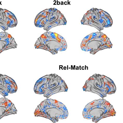 consensus predictive maps for five task contrasts highly predictive of