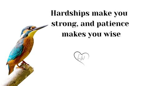 459 Islamic Quotes For Patience And Silence Quran Based