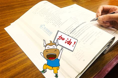 实操会计师的含金量如何？看完你就明白了！ 知乎