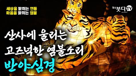 반야심경 산사에 울리는 고즈넉한 염불소리 세상을 밝히는 연등 마음을 맑히는 염불 Korean Buddhist Temple 염불