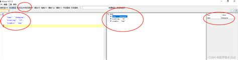 Json离线格式化工具hijson 极客之音