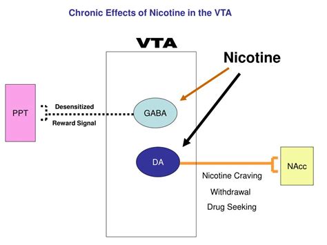 Ppt Aversion Versus Reward In Nicotine Reinforcement Circuits