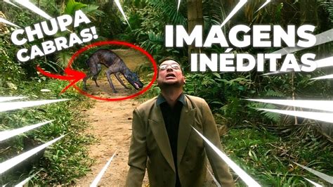 Imagens Reais De Um Chupa Cabras Este Homem Foi Atacado SerÁ Que Ele