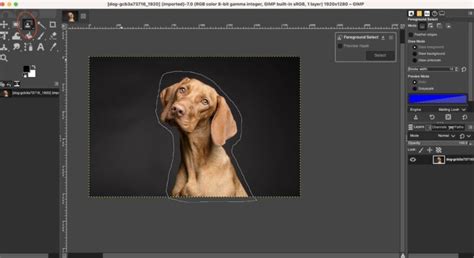 Remove Background Make It Transparent In GIMP