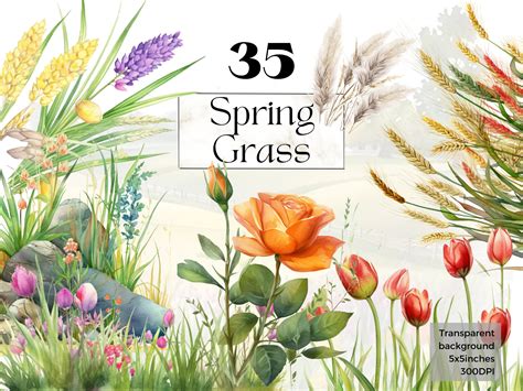 Watercolor Spring Grass Clipart Png Printable Rustic Etsy