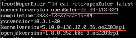 openEuler 22 03 LTS升降级指导