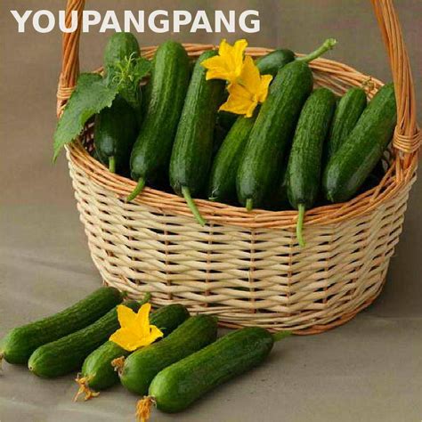 200pcs Japanese Cucumber Seeds Free Shipping Up To