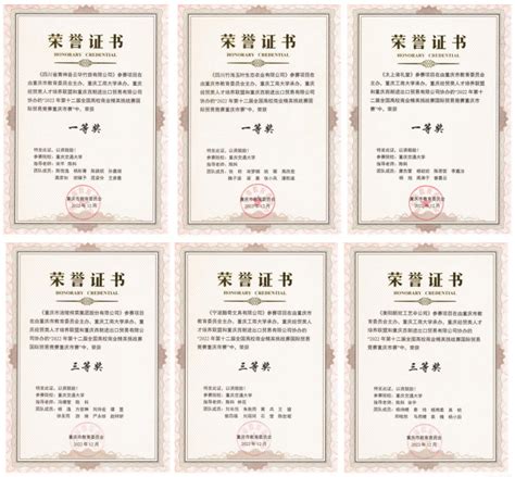 我校在第十二届全国高校商业精英挑战赛国际贸易竞赛国际贸易业务模拟赛道重庆市赛中喜获佳绩 经济与管理学院