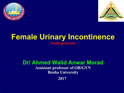 Female Urinary Incontinence Ppt