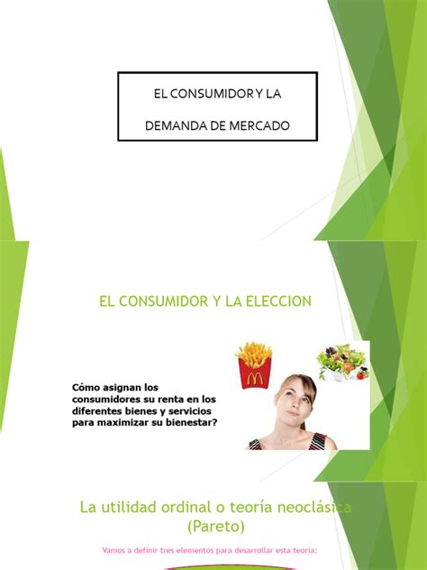2el Consumidor Y La Demanda De Mercado Pdf