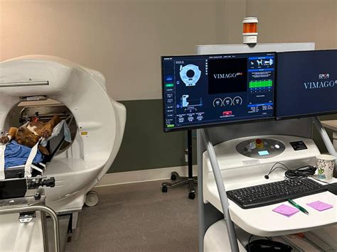 Pet Ct What Is It And How The Exam Works All4petshospital