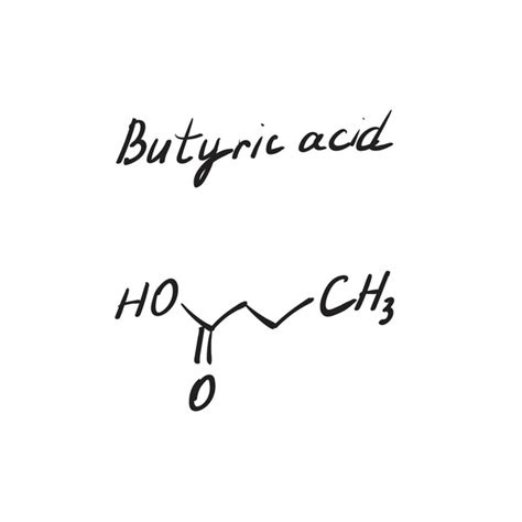 42 Butanoic Acid Structural Formula Stock Vectors And Vector Art