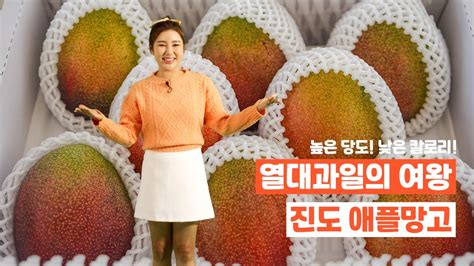 열대과일의 여왕 진도 애플망고 Youtube