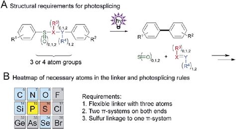 Scheme 8 Summary Of Necessary Parts In The Linker A Structure Of The