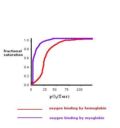 Protein A Binding Chart Ponasa