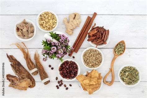 Immune System Boosting Herbs Spice Used In Herbal Plant Medicine Plant