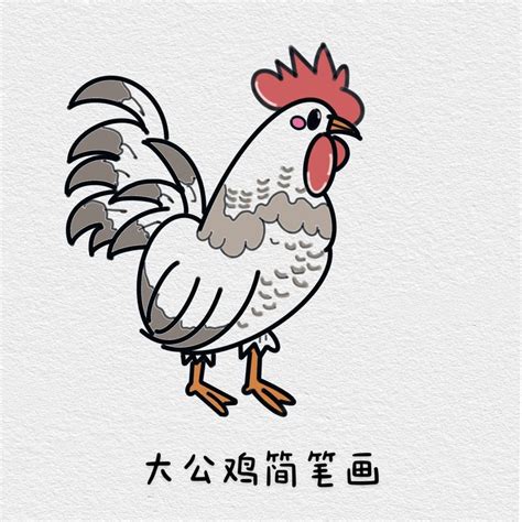 公鸡的简笔画 苗苗知道