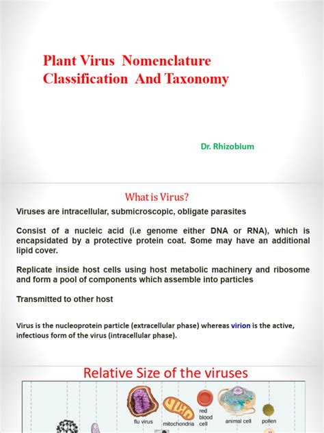 Plant Virus Taxonomy Classification And Nomenclature Pdf Virus