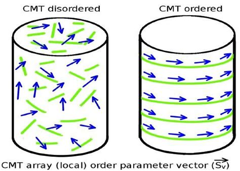 2 Local Order Parameter L It Has A Scalar Part S And A Vector