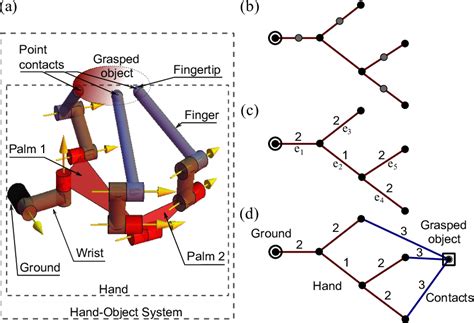 A Hand Object Interaction And Its Graph Representation A A Download Scientific Diagram