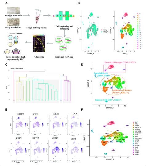 Single Cell Sequencing And Characterization Of Cellular Heterogeneity