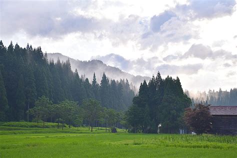 福島県南会津・只見町から 4 田舎のクラング・音と光の鮮やかさ。