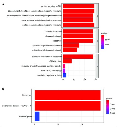 Go Annotation And Kegg Enrichment Analysis Of 30 De Srpgs A Top Five