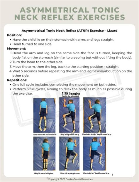 Primitive Reflex Testing Guide Testing Exercises Signs Strategies