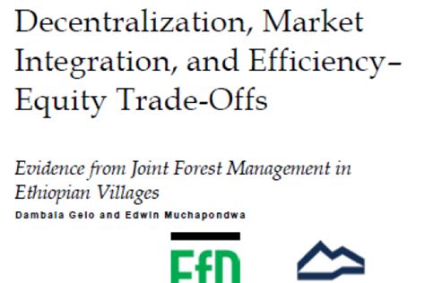 Decentralization Market Integration And Efficiency Equity Trade Offs Evidence From Joint