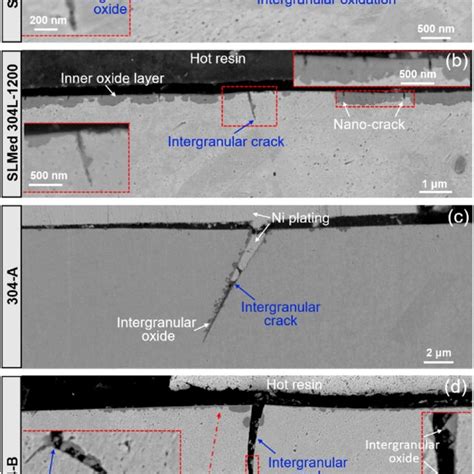 Sem Bse Image Of The Cracks Obtained From The Cross Section Of The Ssrt