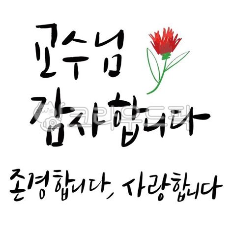 교수님 캘리 캘리그라피 감사 감사합니다 사진 이미지 일러스트 캘리그라피 감성소은작가