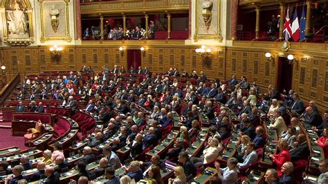 Interdiction De Lécriture Inclusive Une Proposition De Loi Examinée