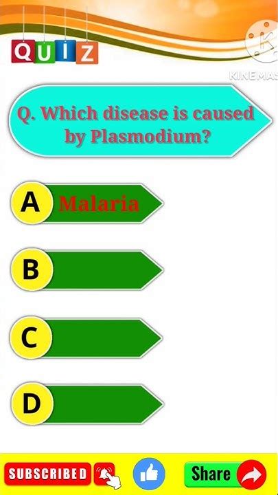 Question 17 Youtube Question 17 Youtube