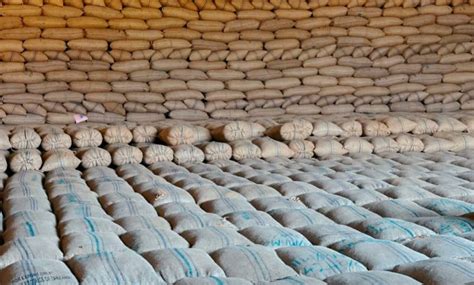 Serikali Yarudisha 100 Ushuru Korosho Habarileo