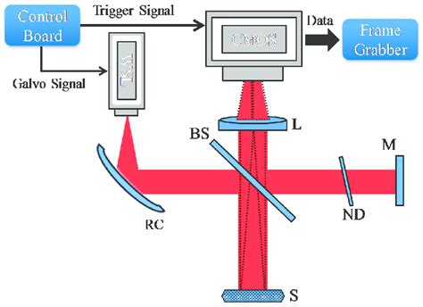 Schematic Diagram Of A Full Field Oct System Bs Pellicle Beam Download Scientific Diagram