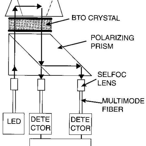 Schematic Of The Sensor Download Scientific Diagram