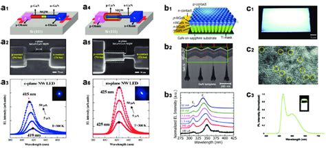 Schematic Illustration And Top View Field Emission Sem Fe Sem Images
