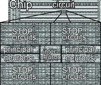 STDP Chip A The Chip Has A 16 By 16 Array Of Microcircuits One Download Scientific Diagram