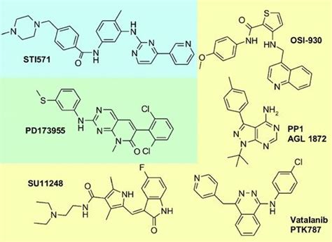 Imatinib Binding And Ckit Inhibition Is Abrogated By The Ckit Kinase
