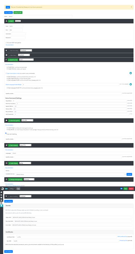 Home Assistant Rhasspy Server Satellite Issue Help Rhasspy Voice