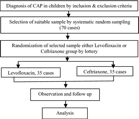 Flow Chart Of Randomization And Intervention Download Scientific Diagram