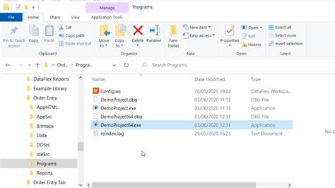 Dflc Lesson The Dataflex Environment