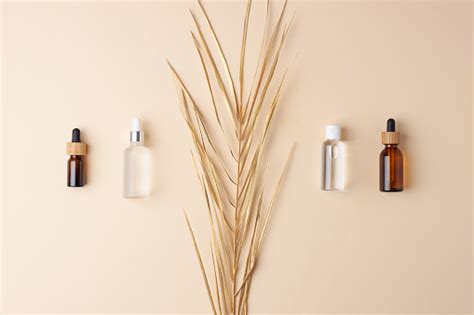 파스텔 베이지 색 배경에 야자수 잎이 있는 화장품 스킨 케어 제품 플랫 레이 복사 공간 유기농에 대한 스톡 사진 및 기타 이미지 유기농 0명 건강관리와 의술 Istock