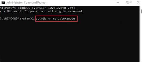 How To Fix The Problem That Folder Keeps Reverting To Read Only Rene