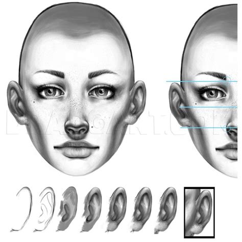 How To Draw Real Faces Draw Faces Step By Step Drawing Guide By