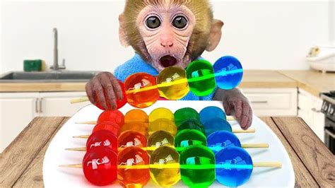 برنامه کودک بچه میمون با موضوع ژله رنگین کمان