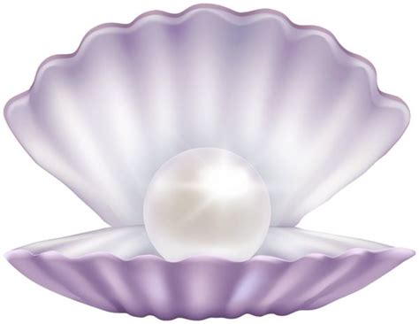 Little Mermaid Shell Png